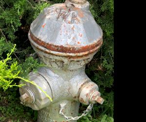 Clow hydrant spotted at Ft. Worth Botanical Gardens - McWane Ductile ...